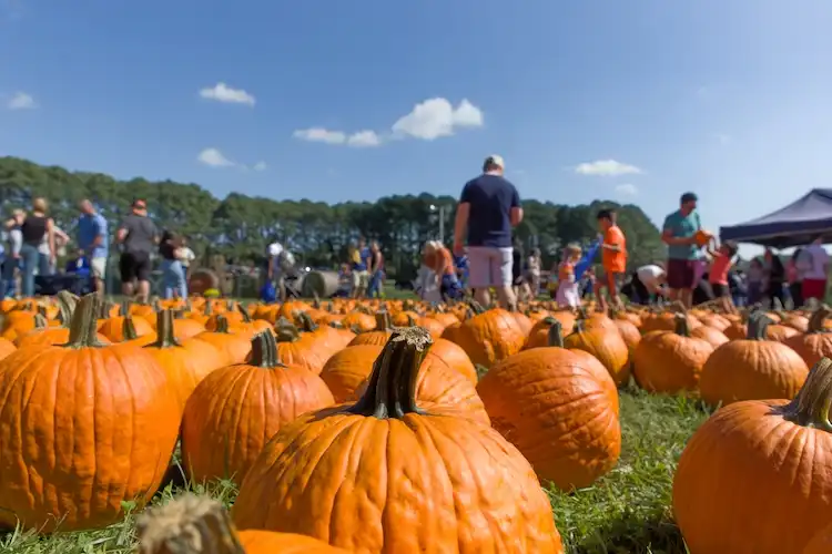 Events Archive - Shop Local Raleigh